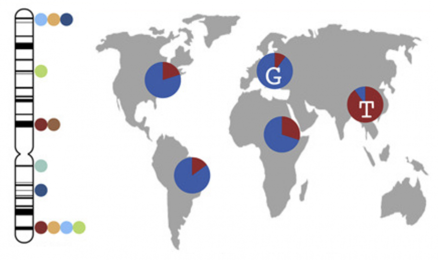 Research – Sabeti Lab